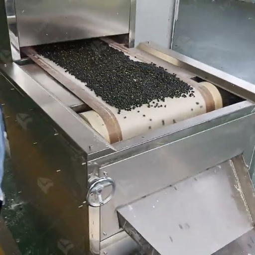 Top Reasons to Choose a Microwave Beans Drying Machine for Your ...