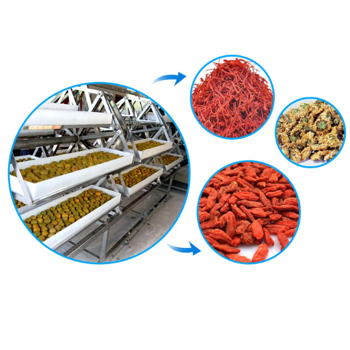 The Ultimate Guide to Microwave Drying of Fruits and Vegetables - LOYAL