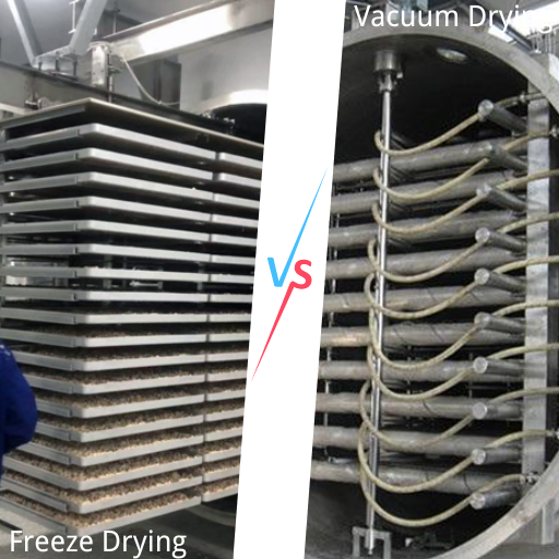 Why Microwave Vacuum Drying is Outpacing Traditional Freeze-Drying ...