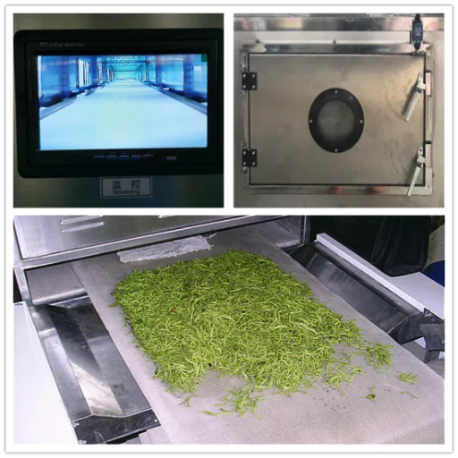 Revolutionizing Tea Production: The Power of Microwave Tea Drying ...