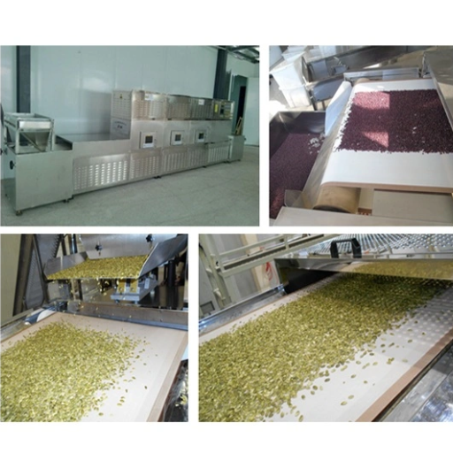 Revolutionizing Tea Production: The Power of Microwave Tea Drying ...